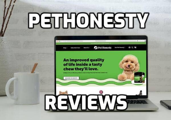 PetHonesty Reviewed (2024): The Good, Bad & Good-To-Know